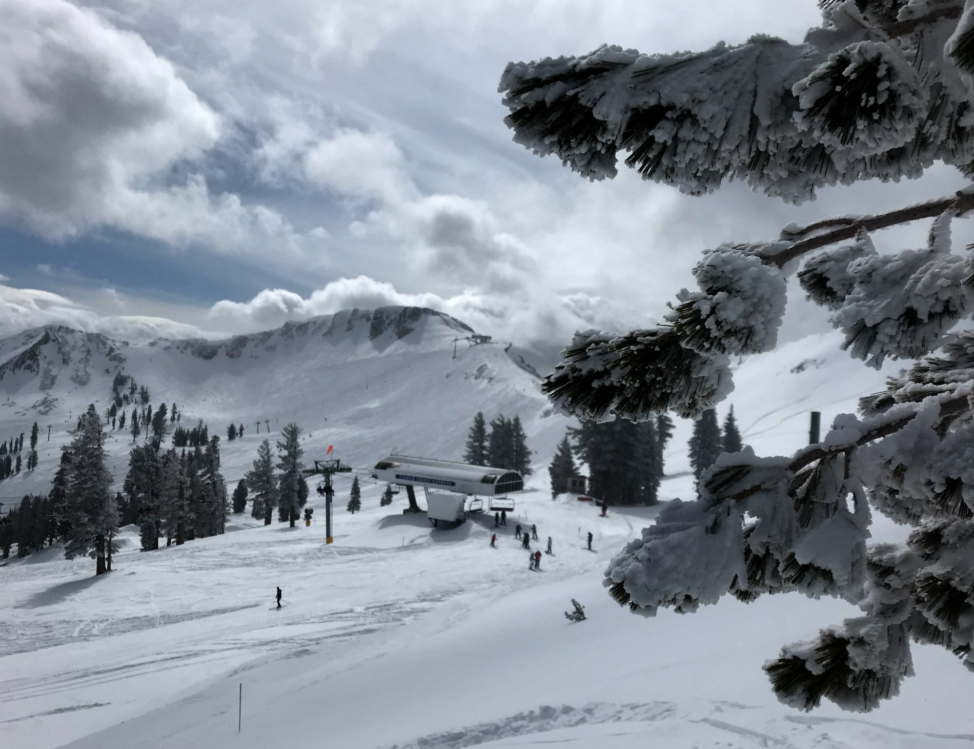 Bryne will lead Squaw Alpine ski resort