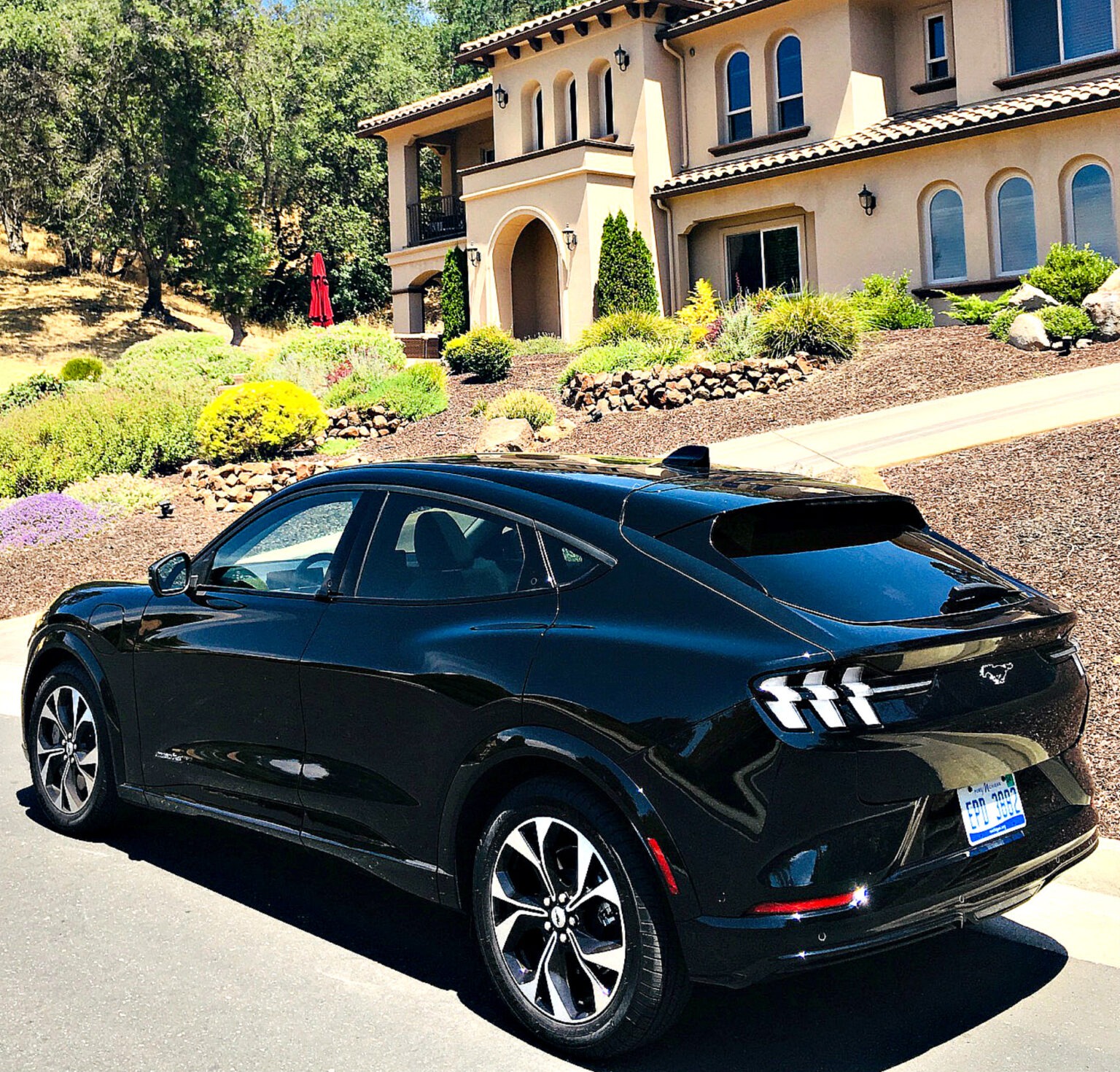 Mustang also unique electric SUV